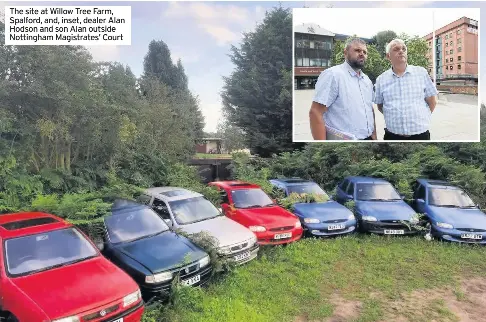 Dealer loses court battle over ‘classic’ cars in countrysid­e - PressReader
