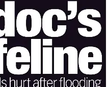 Disaster doc’s cyclone lifeline - PressReader