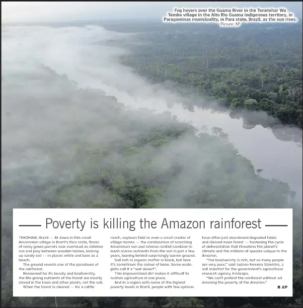 Humanitari­an crisis Internet, phone networks collapse in Gaza Poverty is killing the Amazon ...