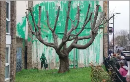 Banksy confirms tree art on flats is his as residents express shock ...