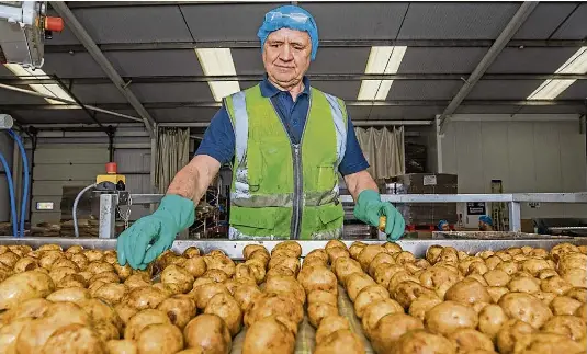 The Taylor family has made Mackie’s crisps at its Errol base for 14 ...