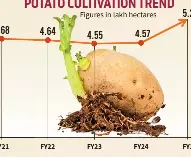 High prices drive potato cultivatio­n spree, now farmers worry about returns - PressReader