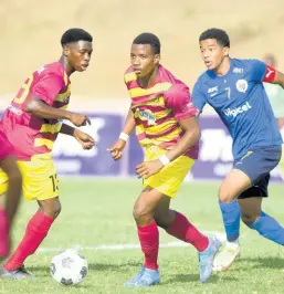 Dinthill, CC become the first rural pairing in a Champions Cup final ...