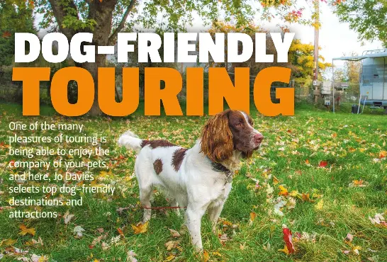 DOG-FRIENDLY TOURING - PressReader