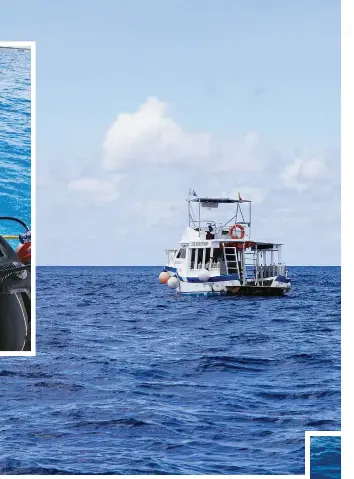 Scuba Diving 101 - PressReader