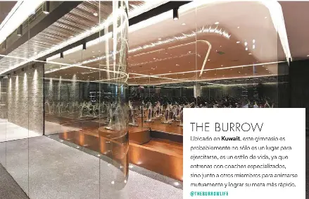 THE BURROW - PressReader