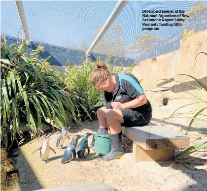 Libby’s dream job with penguins - PressReader