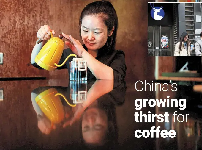 China’s growing thirst for coffee - PressReader