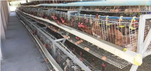 Taguta projects transform Marange: - PressReader