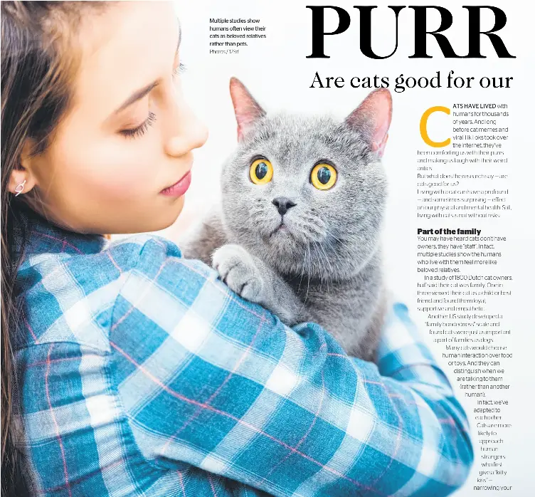 Why cats meow at humans more than - PressReader