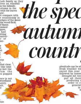 Does any human art compare with the spectacle of autumn in the countrysid­e? - PressReader