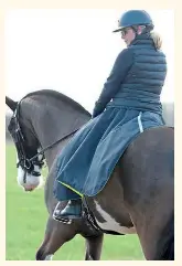 EQUETECH REVERSIBLE WATERPROOF RIDING SKIRT - PressReader