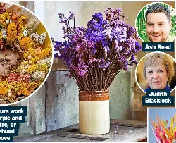 Everlastin­g petal power - PressReader