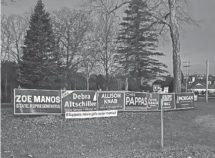 Stratham Democrats leaders charged with stealing political signs ...