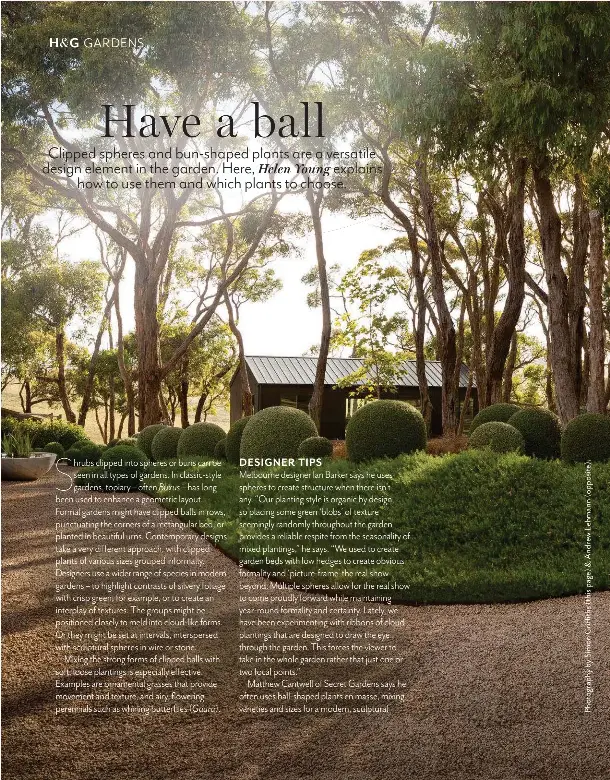Have a ball - PressReader