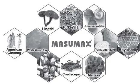 The wonders of Masumax - PressReader