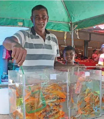 Aquatic business source of Prasad family income - PressReader