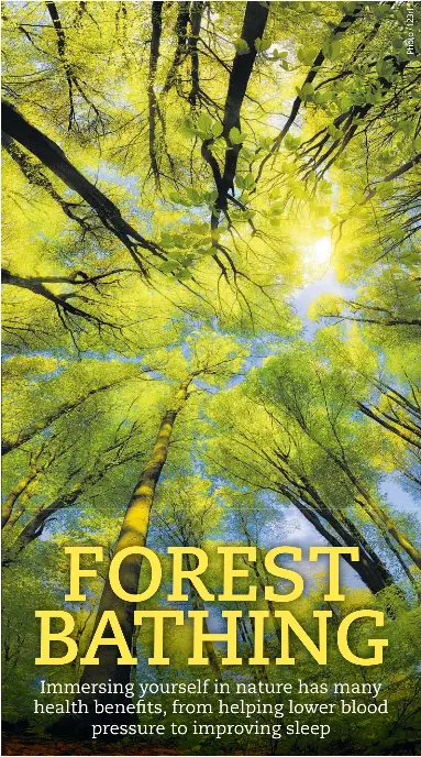 FOREST BATHING - PressReader