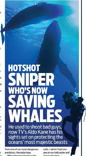 SNIPER WHO’S NOW SAVING WHALES - PressReader