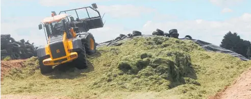 I was told you could eat good silage - PressReader