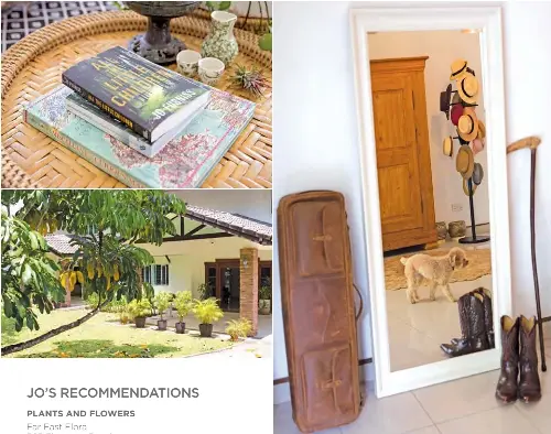 JO’S RECOMMENDA­TIONS - PressReader