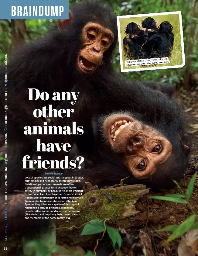 Do any other animals have friends? - PressReader