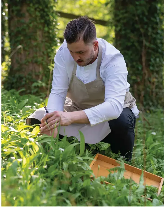 RICKI WESTON: TO THE MANOR BORN - PressReader