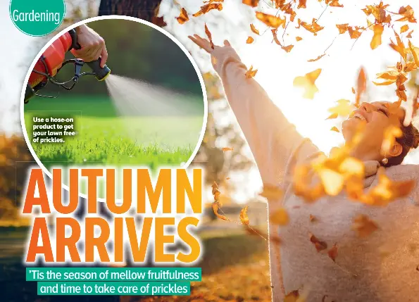 AUTUMN ARRIVES - PressReader
