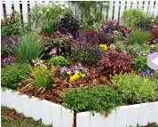 BLOOMIN’ BEAUTIFUL - PressReader