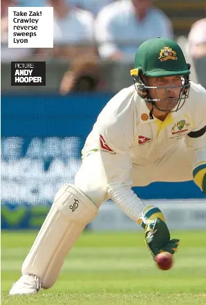 Zak’s attack drowns out the noise from ‘Joe Bloggs having a go’ on Twitter - PressReader