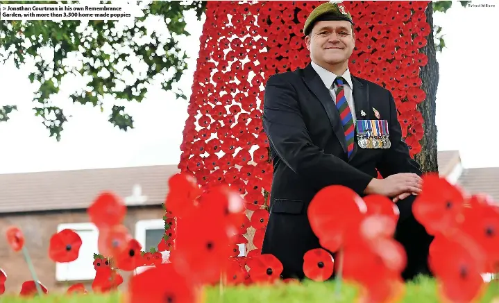 War veteran creates own field of 3,500 poppies in tribute to fallen ...