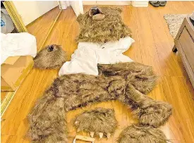 ‘Fake bears’ break into luxury cars - PressReader