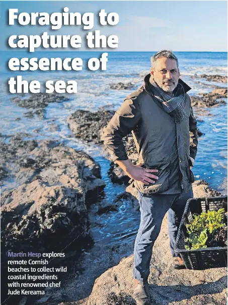 Foraging to capture the essence of the sea - PressReader