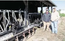 Family brings ‘love and passion’ to raising, selling wagyu - PressReader