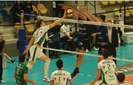 Michiel Fransen wil met Achel Europa in - PressReader