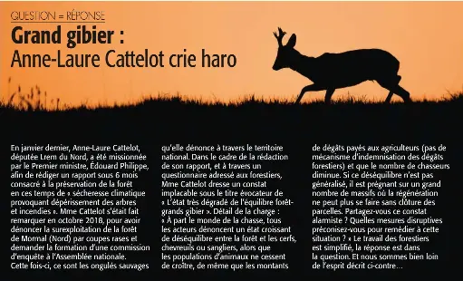 Grand gibier : Anne-Laure Cattelot crie haro - PressReader
