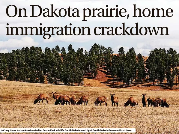 On Dakota prairie, home of Trump’s DHS pick, immigratio­n crackdown threatens a way of life ...