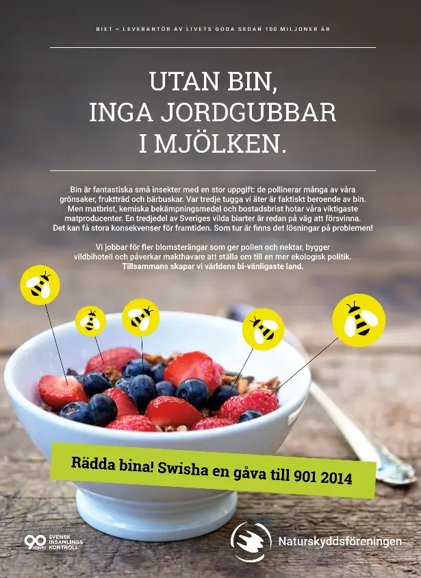 UTAN BIN, INGA JORDGUBBAR I MJÖLKEN. - PressReader