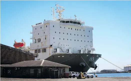 Ship of horrors: animal cruelty on Kuwaiti vessel shocks NSPCA ...