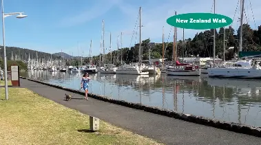 Hatea Loop Walkway has so much to do and see - PressReader