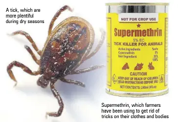 Ticks nuisance! - PressReader