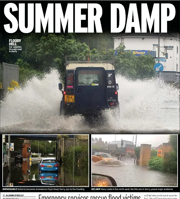 SUMMER DAMP - PressReader