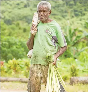 An Insurance Hope For Our Farmers - PressReader