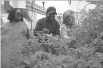 Volunteeri­ng has health benefits - PressReader