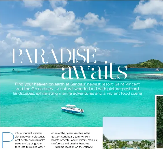 PARADISE awaits - PressReader