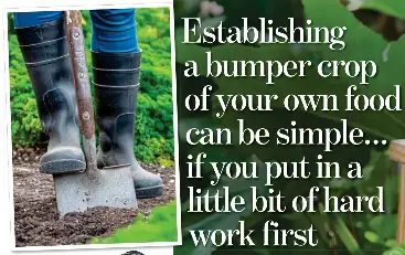 Dig for victory - PressReader