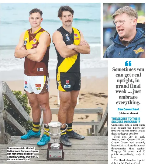 HAWKS HOVERING - PressReader