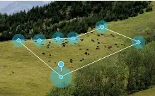 Gates open to virtual possibilit­ies - PressReader