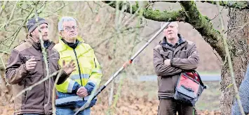 Vorm Obstbaumsc­hnitt richtig gucken - PressReader