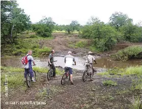 MORE WILD THINGS TO DO - PressReader